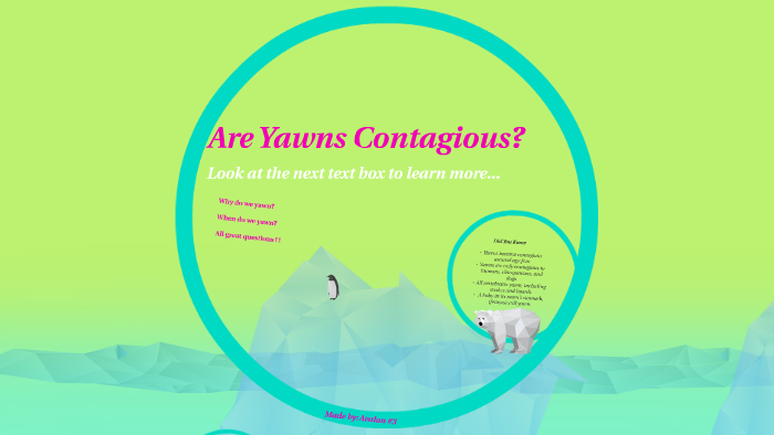 Are Yawns Contagious By A B On Prezi