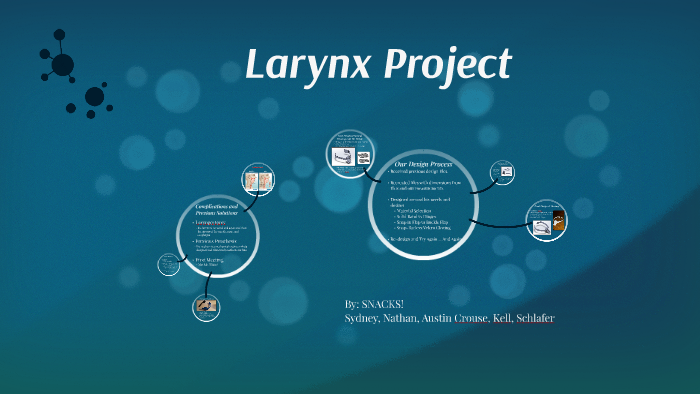 Larynx Project by Rachel Little on Prezi