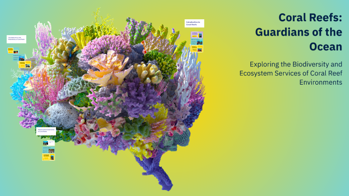 Coral Reefs: Guardians of the Ocean by Johnny Tran on Prezi