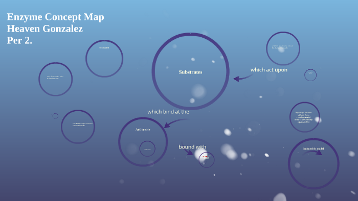 Enzyme Concept Map by Heaven Gonzalez on Prezi