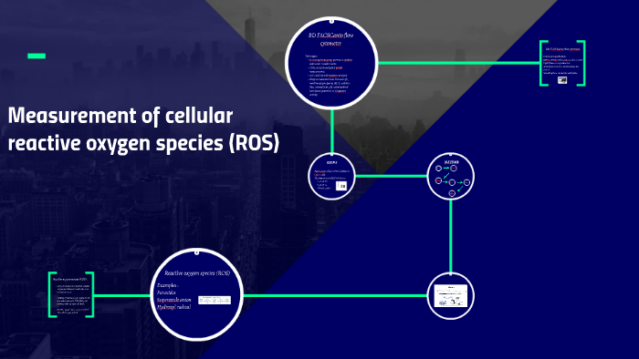 Measurement of cellular reactive oxygen species (ROS) by haloom abdo on ...