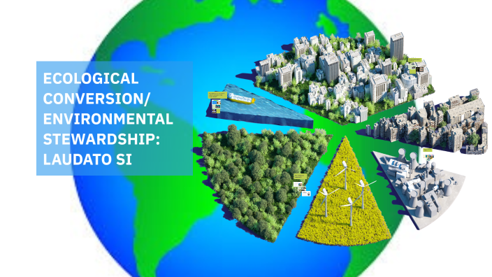 Environmental Stewardship: Insights from Laudato Si by Michelle ...