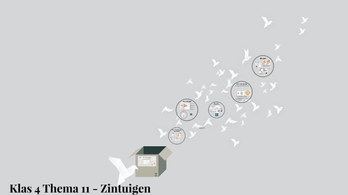 VMBO 4 T11 - Zintuigen by Anna de Vries on Prezi