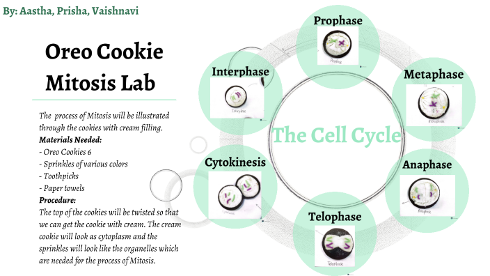 Oreo Cookie Mitosis Lab Activity by AL - 10BS 1038393 Jean Augustine SS ...