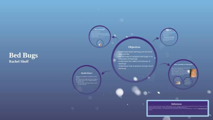 Bed bugs by Rachel Shoff on Prezi