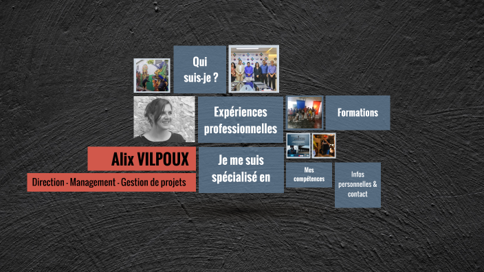 CV by Alix Vilpoux on Prezi