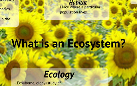 16.1 What is an Ecosystem? by Jennifer Paschall on Prezi