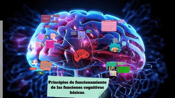 Principios de funcionamiento de las funciones cognitivas básicas. by Naomy Mercedes Castillo ...