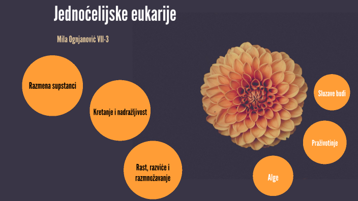 Jednoćelijske eukarije by Mila Ognjanović on Prezi
