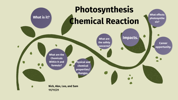 Chemical Reactions of Photosynthesis By Nick, Alex, Leo, and Sam by Sam ...