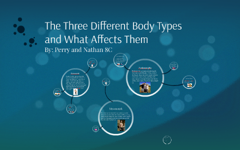The Three Different Body Types and What Affects Them by Mytsuki Perry ...