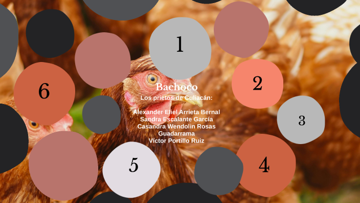 Bachoco: Leading Poultry Producer by Eliel Bernal on Prezi