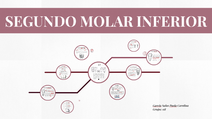 SEGUNDO MOLAR INFERIOR by Paola Garcia on Prezi