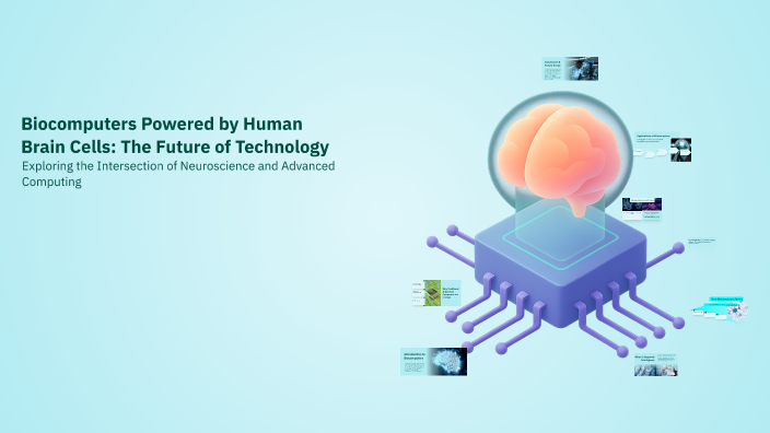 Biocomputers Powered by Human Brain Cells: The Future of Technology by ...