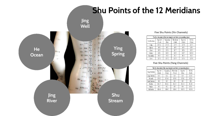 Shu Points by Erin Lewis on Prezi