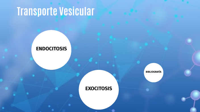 Transporte Vesicular by Anderson V on Prezi