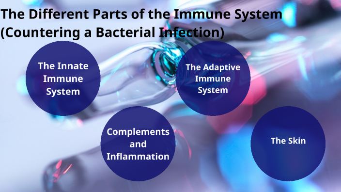 The Different Parts of the Immune System by Danny D