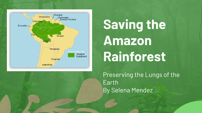 Saving the Amazon Rainforest by Selena Mendez on Prezi