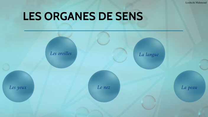 LES ORGANES DE SENS by Mahmoud Louhichi on Prezi