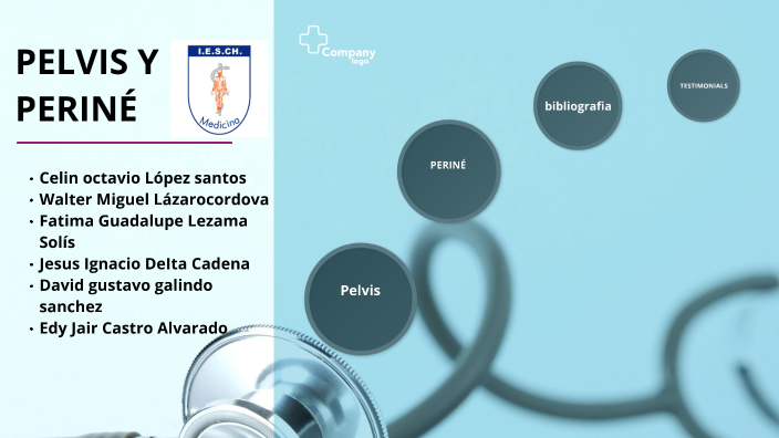 pelvis y periné by Celín Octavio Vázquez Santos on Prezi