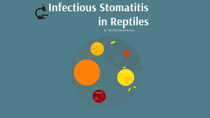 Infectious Stomatitis in Reptiles by michelle bartholomew on Prezi