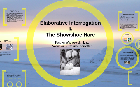 Elaborative Interrogation by Kaitlyn Wisniewski on Prezi