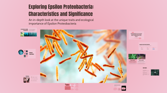 Exploring Epsilon Proteobacteria: Characteristics and Significance by ...