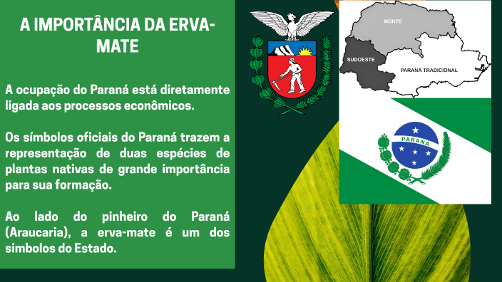 O mate foi responsável pela primeira fase da industrialização do Estado ...
