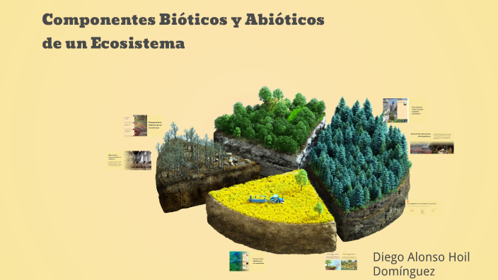 Componentes Bióticos y Abióticos de un Ecosistema by Diego Alonso Hoil ...