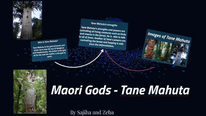 Maori Gods - Tane Mahuta by Zeba PBS on Prezi