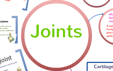 The Skeletal System by Jack Trinder on Prezi