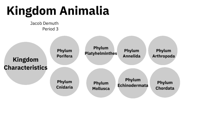Kingdom Animalia by Jacob Demuth on Prezi