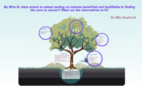 My EPQ:To what extent is animal testing on rodents beneficia by ellie ...