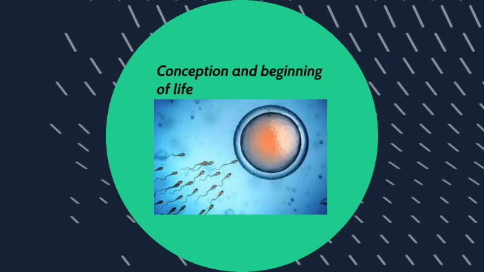 Death Evolution 3 by Wade Gregor on Prezi