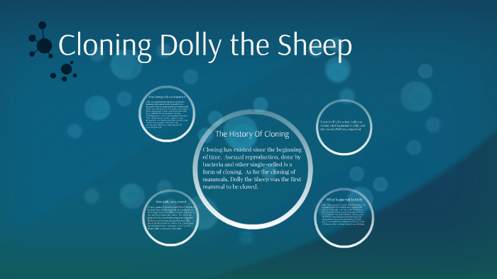 Cloning Dolly the Sheep by Seth Cline on Prezi