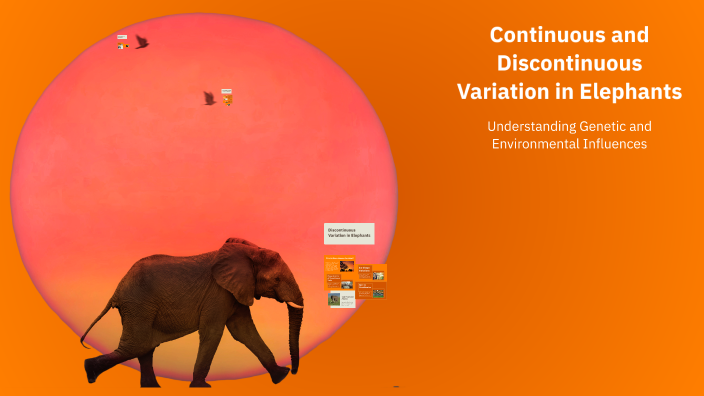 Continuous and Discontinuous Variation in Elephants by Zidan Radian on ...
