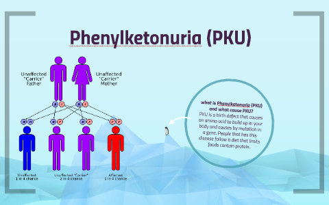 what is Phenylketonuria (PKU) and what cause PKU? by Naurothie Lareche ...