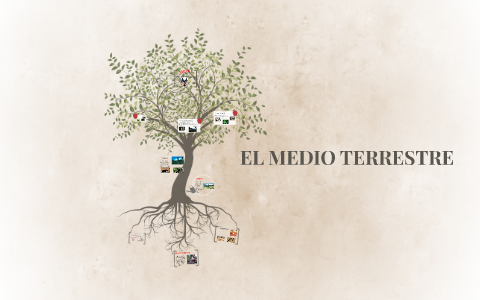 ¿Que es el medio terrestre? by mar sebastia on Prezi