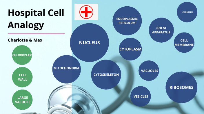 Hospital Cell by Charlotte Byron on Prezi