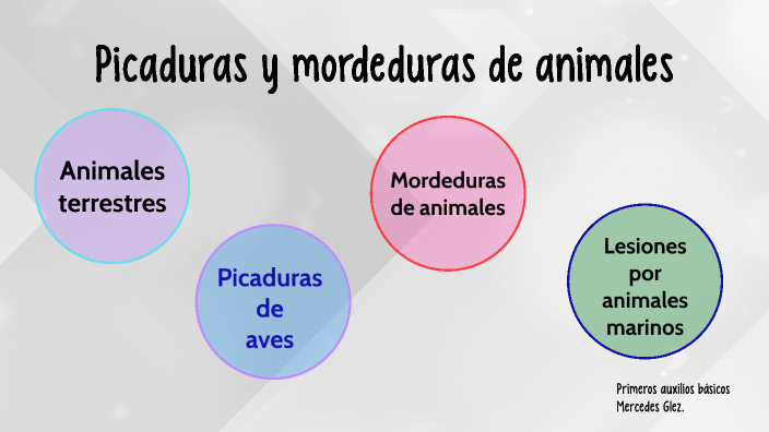 Picaduras y mordeduras de animales by Mercedes Gonzalez Rodriguez