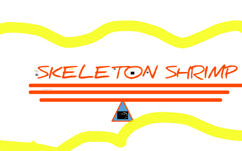 skeleton shimp angel and jesse by Kyle Jorgensen on Prezi