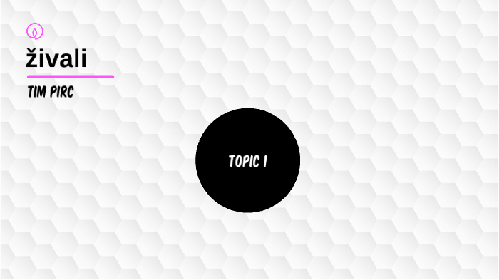 krokodili by Tim Pirc on Prezi