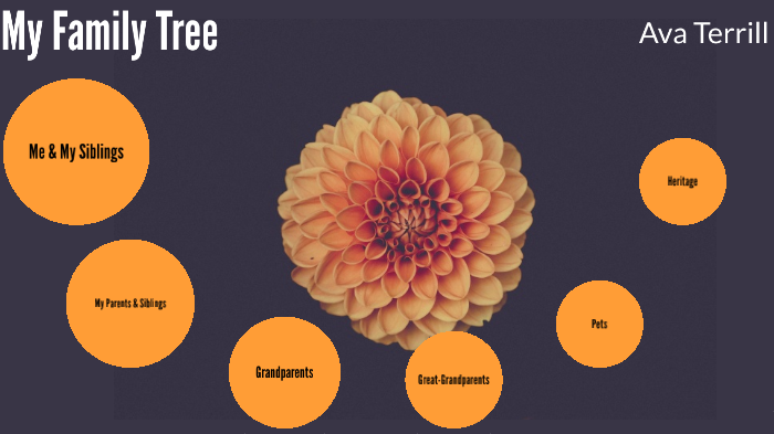 My Family Tree by AVA TERRILL on Prezi