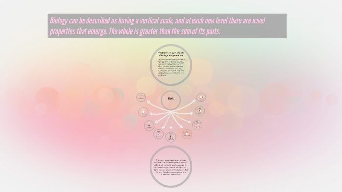 Biology Can Be Described As Having A Vertical Scale And At By Allie MacPhee