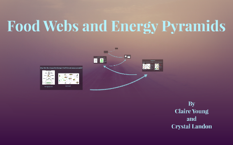 Food Webs and Energy Pyramids by Claire Young on Prezi