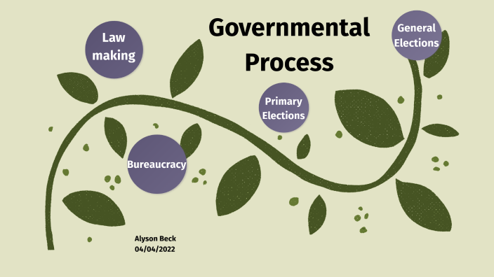 Governmental Process by Alyson Beck on Prezi