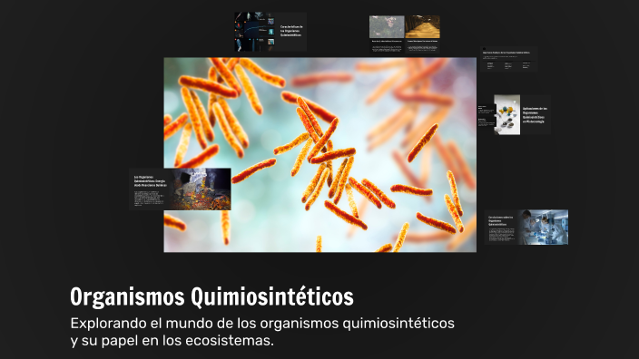 Organismos Quimiosintéticos by CAMILA DOMINGUEZ LOPEZ on Prezi