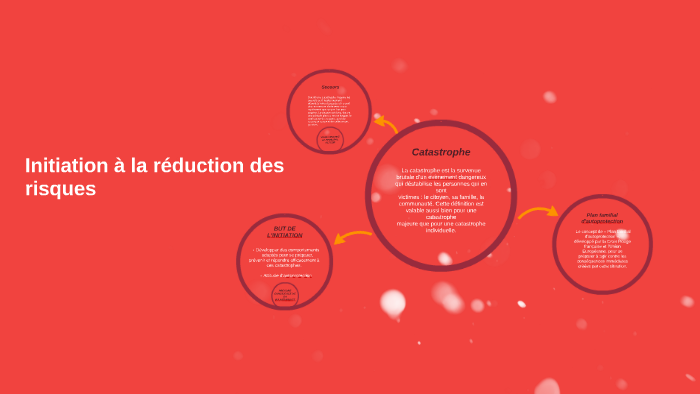 Initiation à la réduction des risques by David Vannier on Prezi