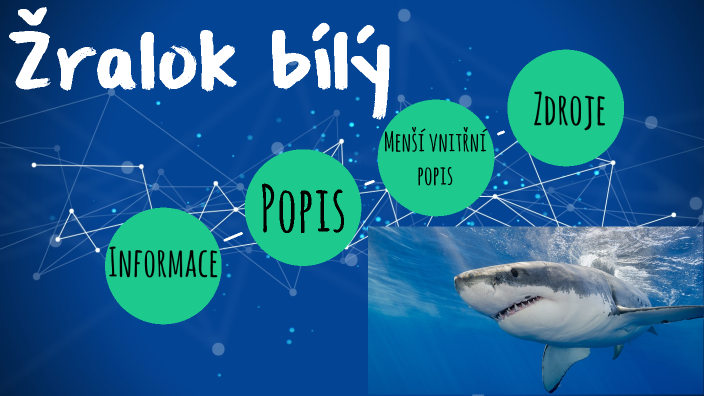 Žralok bílý by Vojtěch Václav Vít on Prezi