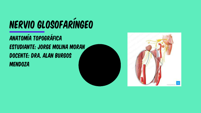 Nervio Glosofaríngeo by Jorge Yarley Molina Moran on Prezi